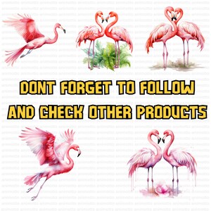Watercolor Flamingos Clipart Bundle, Tropical Bird Clipart Set, Pink ...