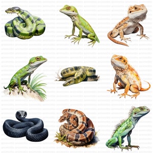 Watercolor Reptiles Clipart | Chameleon, Lizard, Snake, Turtle ...