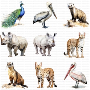 Watercolor Safari Animals Clipart | Safari Clip Art | Lion, Zebra ...