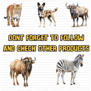 Watercolor Safari Animals Clipart | Safari Clip Art | Lion, Zebra ...