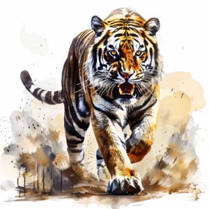 15 Ferocious Tiger Clipart Bundle, Printable Watercolor Animal ...