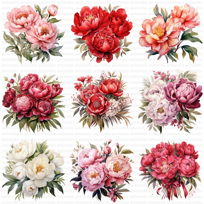 Watercolor Peonies Clipart | Spring Flower, Floral Bouquet, Pink, Red ...