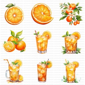 Watercolor Oranges Clipart Bundle Set 50 Separate Orange Fruit PNG ...