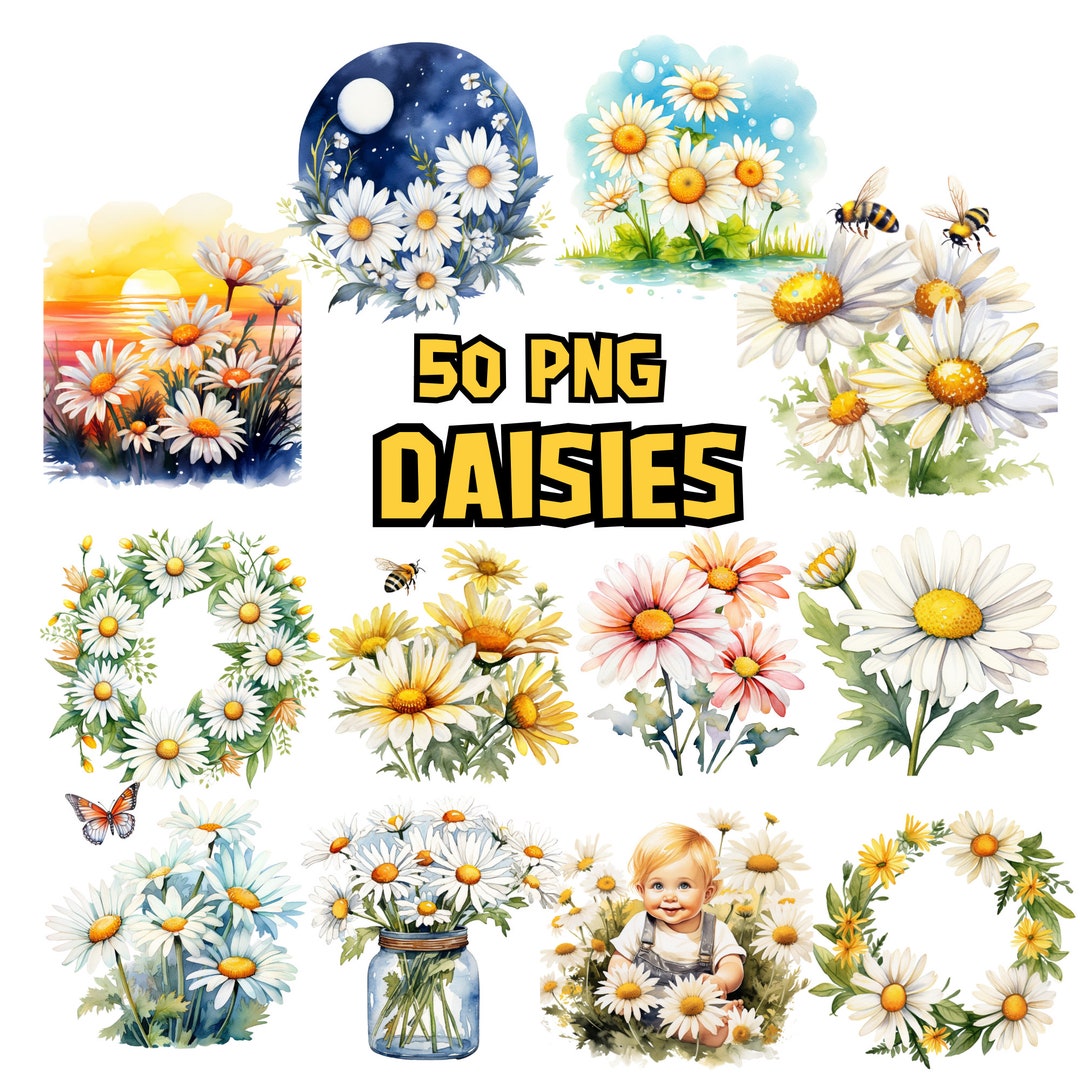 Watercolor Daisies Clipart Bundle, Spring Flower Clipart Set, Floral ...