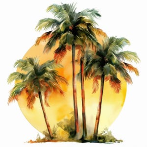 11 Beach Palm Trees Clipart Bundle, Tropical Tree Illustrations ...
