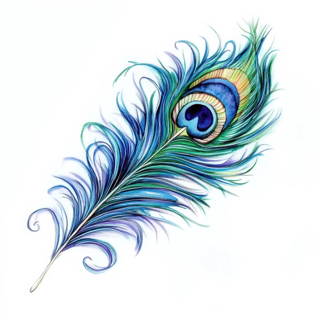 18 Blue Green Feather Clipart Bundle, Peacock, Printable Watercolor ...