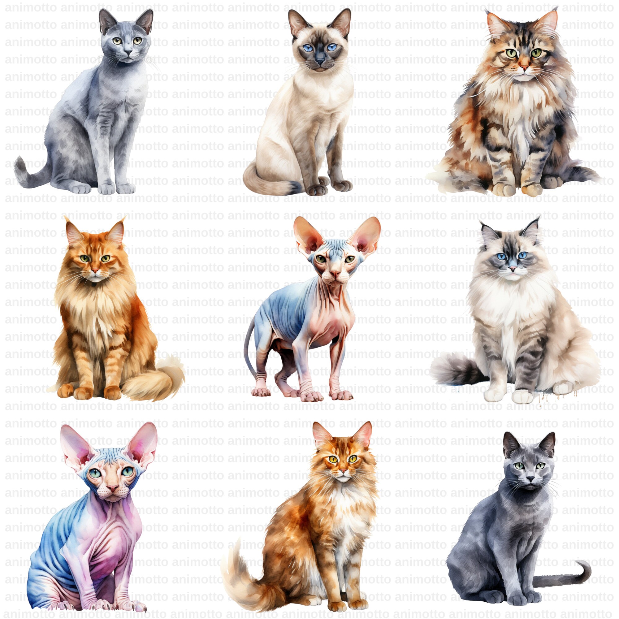 Watercolor Cat Breeds Clipart Bundle, Cute Cats Clipart Set, Kitten PNG ...