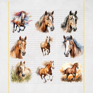 Watercolor Horses Clipart Bundle, Painted Horses Clipart PNG, Horse ...