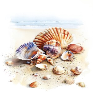 11 Watercolor Seashells and Beach Clipart, Summer Clipart, Nautical ...