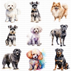 Watercolor Dog Breeds Clipart, Dog Clipart Set, Puppy PNG Graphics ...
