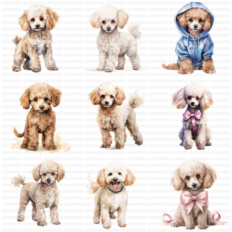 Watercolor Miniature Poodles Clipart Bundle, Cute Dog Image Set, Puppy ...