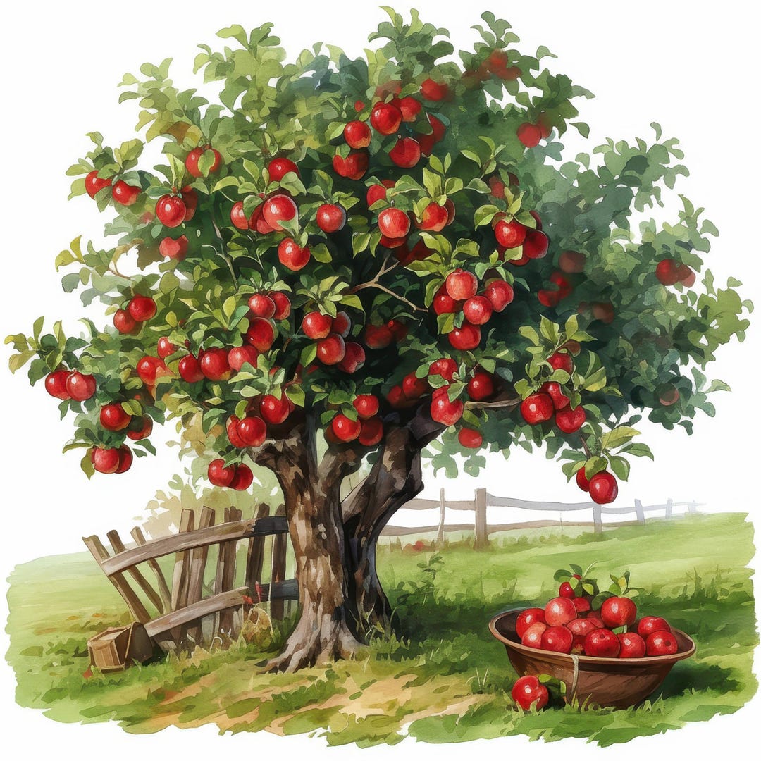 14 Apple Trees Clipart Bundle, Printable Watercolor Tree With Apples ...