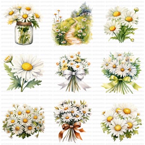 Watercolor Daisies Clipart Bundle, Spring Flower Clipart Set, Floral ...