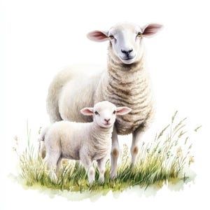 25 Mother and Baby Sheep Clipart Bundle, Printable Watercolor Farm ...