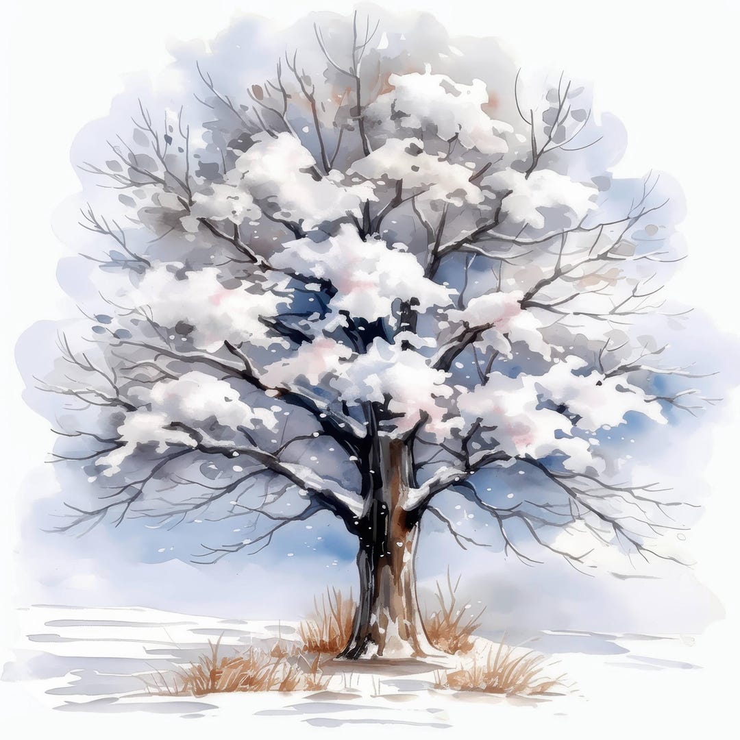 12 Winter Tree Clipart Bundle, Tree and Snow Images Illustrations ...