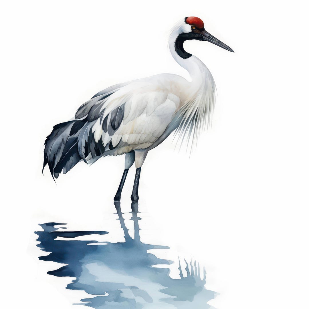 13 Crane in Water Clipart Bundle, Serene Scene Illustrations, Printable ...
