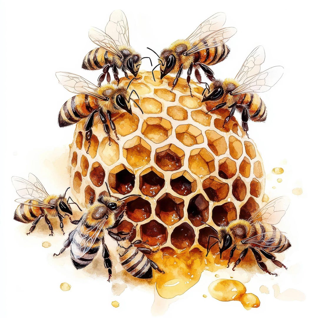 30 Bees and Honeycomb Clipart Bundle, Printable Watercolor Clipart ...