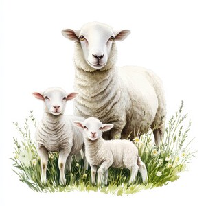 25 Mother and Baby Sheep Clipart Bundle, Printable Watercolor Farm ...