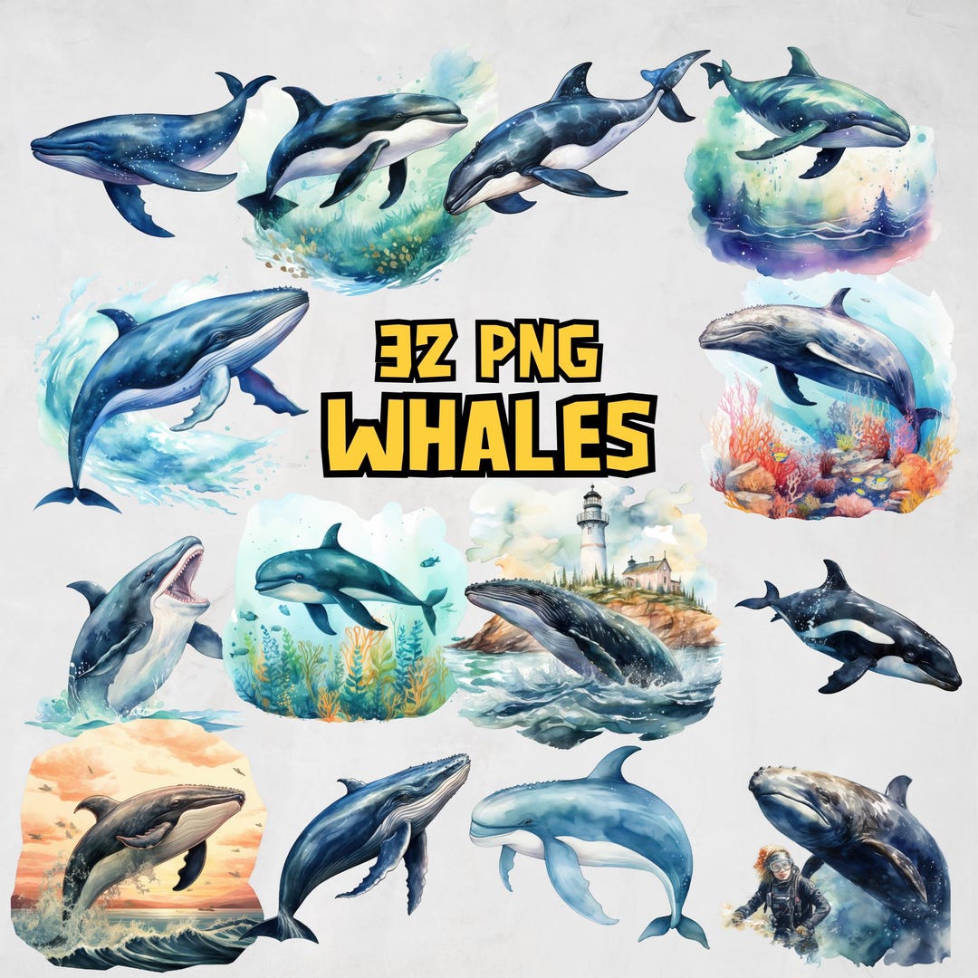 Watercolor Whales Clipart Bundle, Adorable Whale Images, Cute Antarctic ...