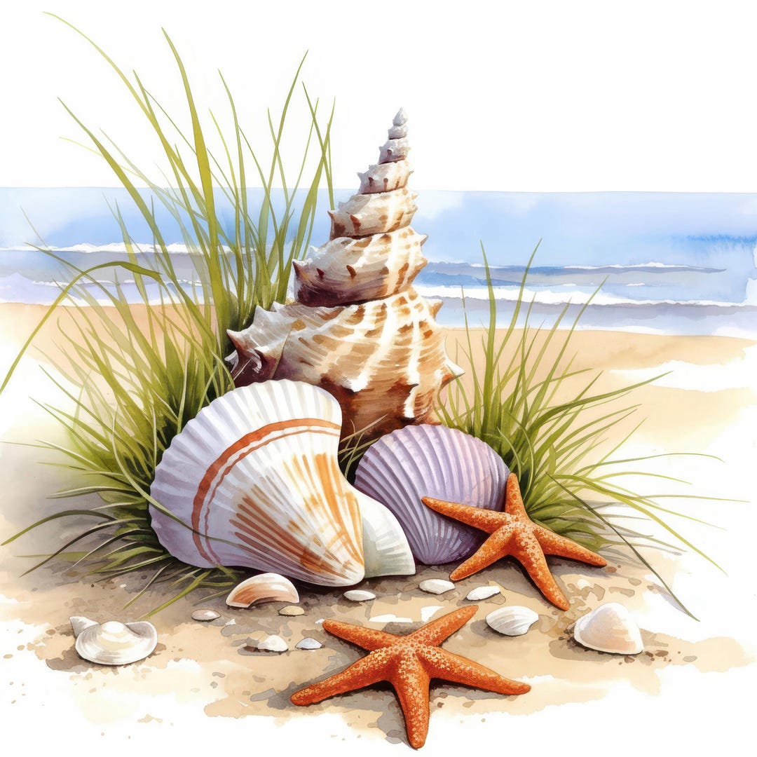 15 Tropical Beach Shells Clipart Bundle, Printable Watercolor Summer ...