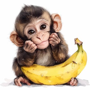 11 Monkey With Banana Clipart Set, Cute Monkey Graphics, Printable ...
