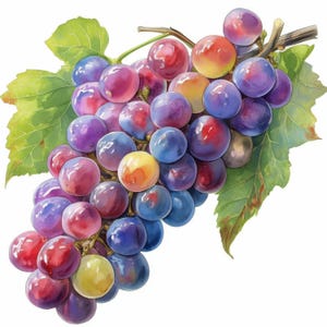 14 Bunch of Grapes Clipart Bundle, Printable Watercolor Grape Images ...