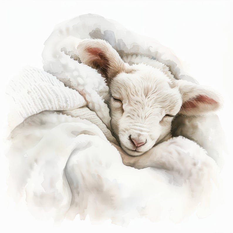 19 Sleeping Lamb Clipart Bundle Set, Watercolor Sheep Clipart ...