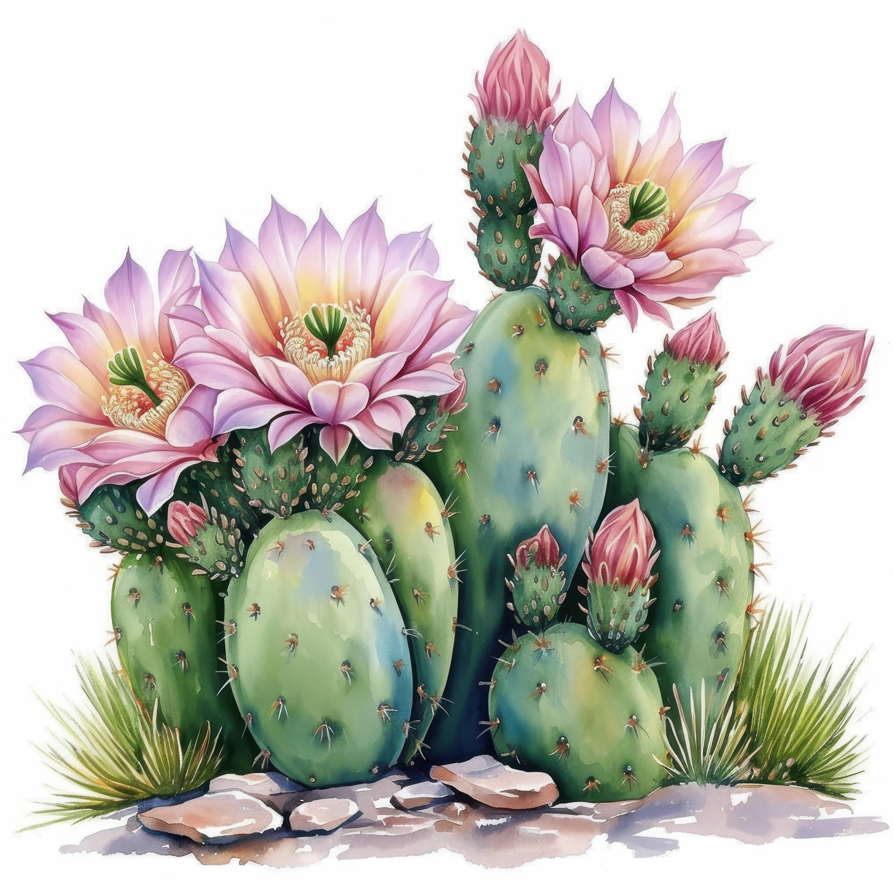 16 Cactus Flower Clipart Set, Vibrant Floral Illustrations, Printable ...
