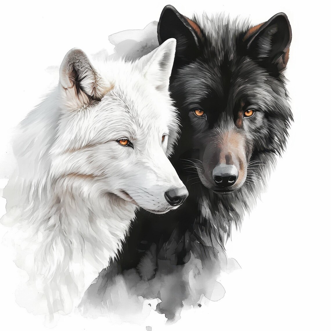 12 Wolf Duo Clipart Bundle, Black and White Wolves Illustration ...