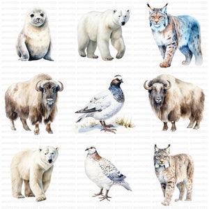 Watercolor Winter Animals Clipart Bundle, Tundra Animals Clipart Set ...