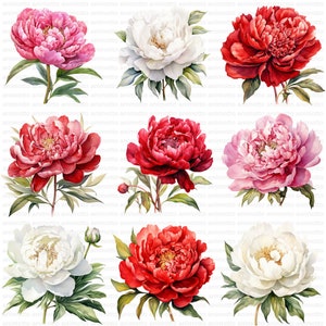 Watercolor Peonies Clipart | Spring Flower, Floral Bouquet, Pink, Red ...