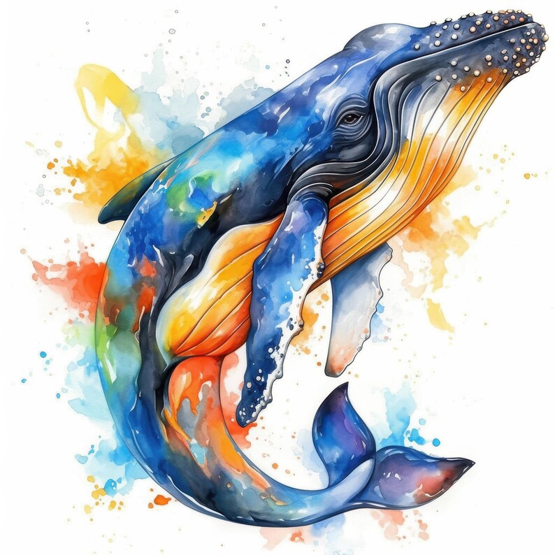 13 Whale Art Clipart Bundle, Ocean Whale Images Illustrations ...