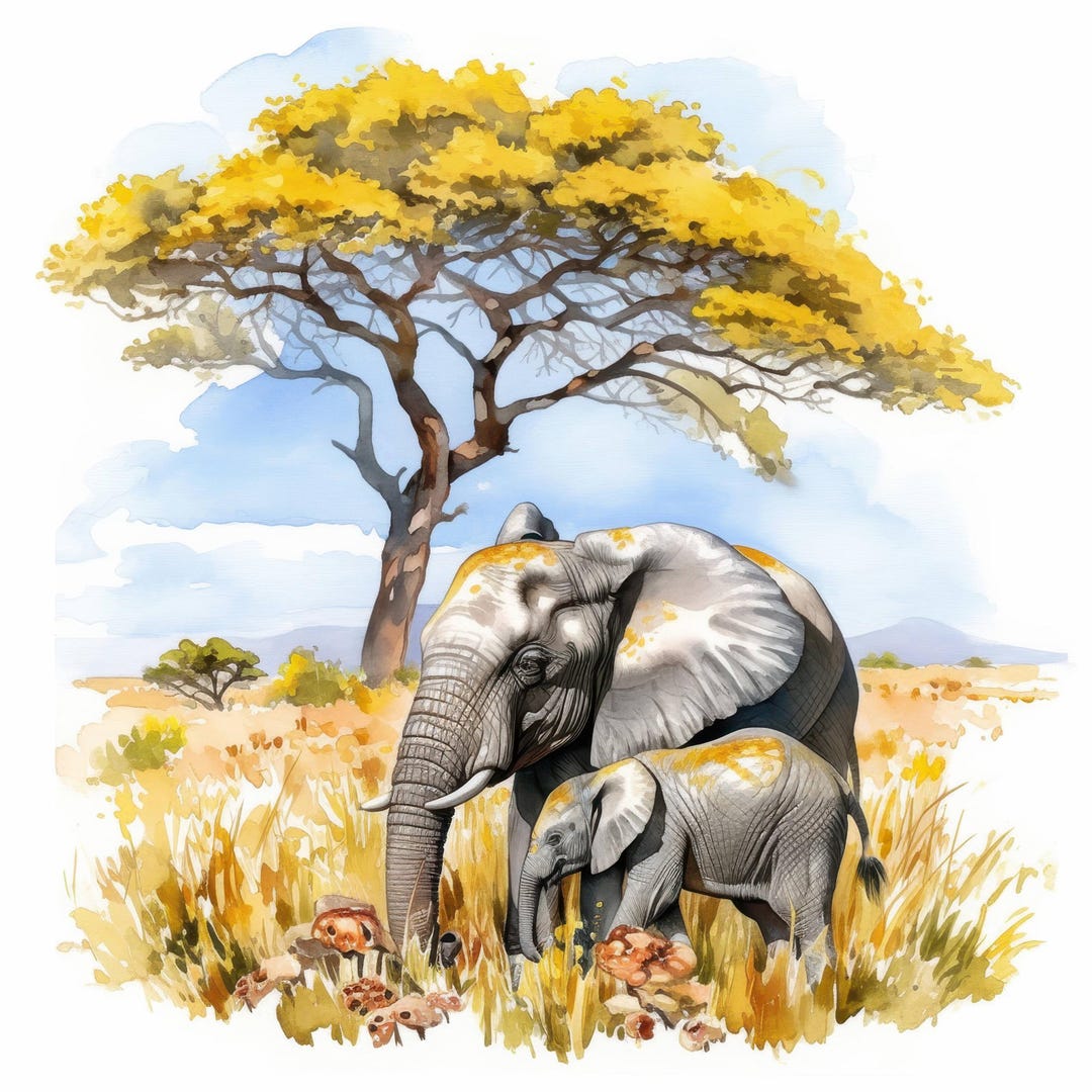 15 Elephant at Safari Clipart Bundle, Printable Watercolor Safari ...