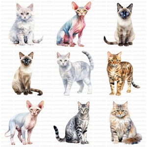 Watercolor Cat Breeds Clipart Bundle, Cute Cats Clipart Set, Kitten PNG ...