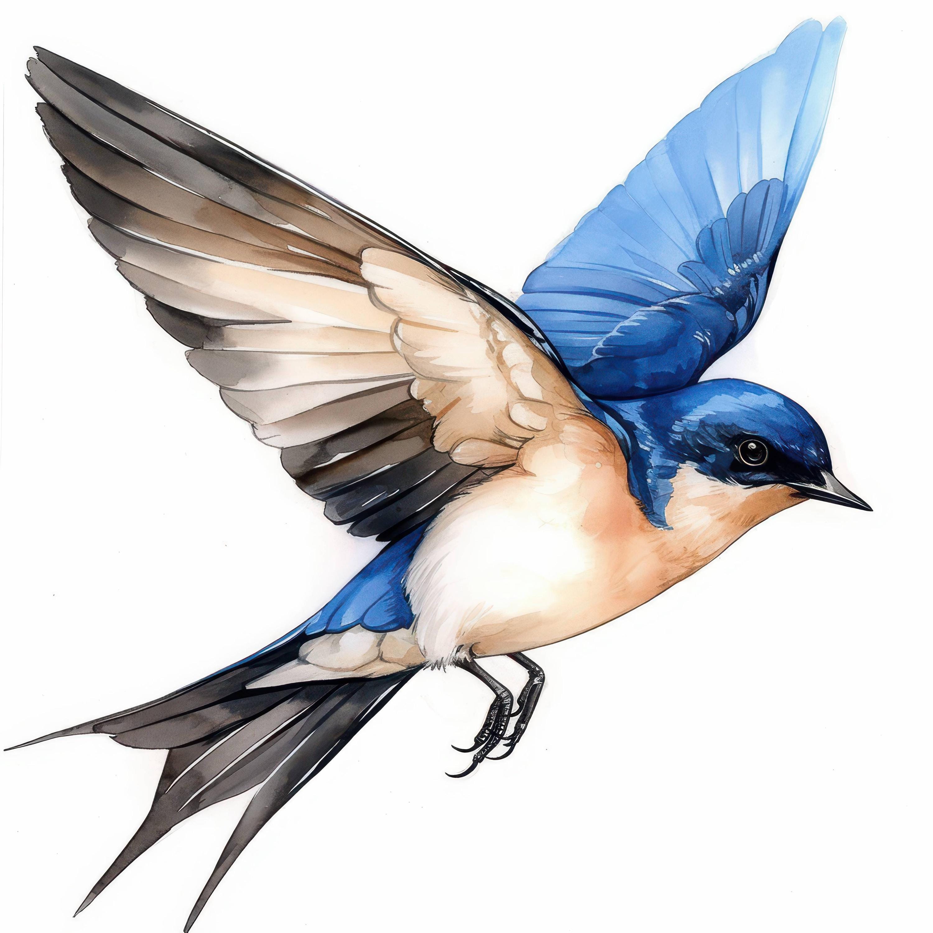 15 Swallow Bird Clipart Bundle, Bird Flying Images Illustrations ...