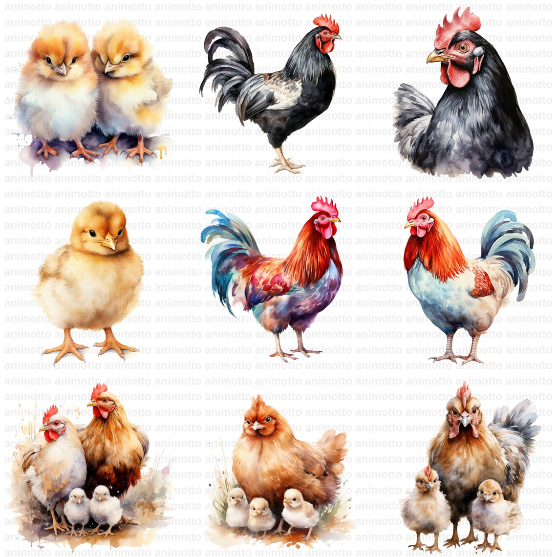 Watercolor Chickens Clipart Bundle | Roaster Clipart Set, Animal PNG ...