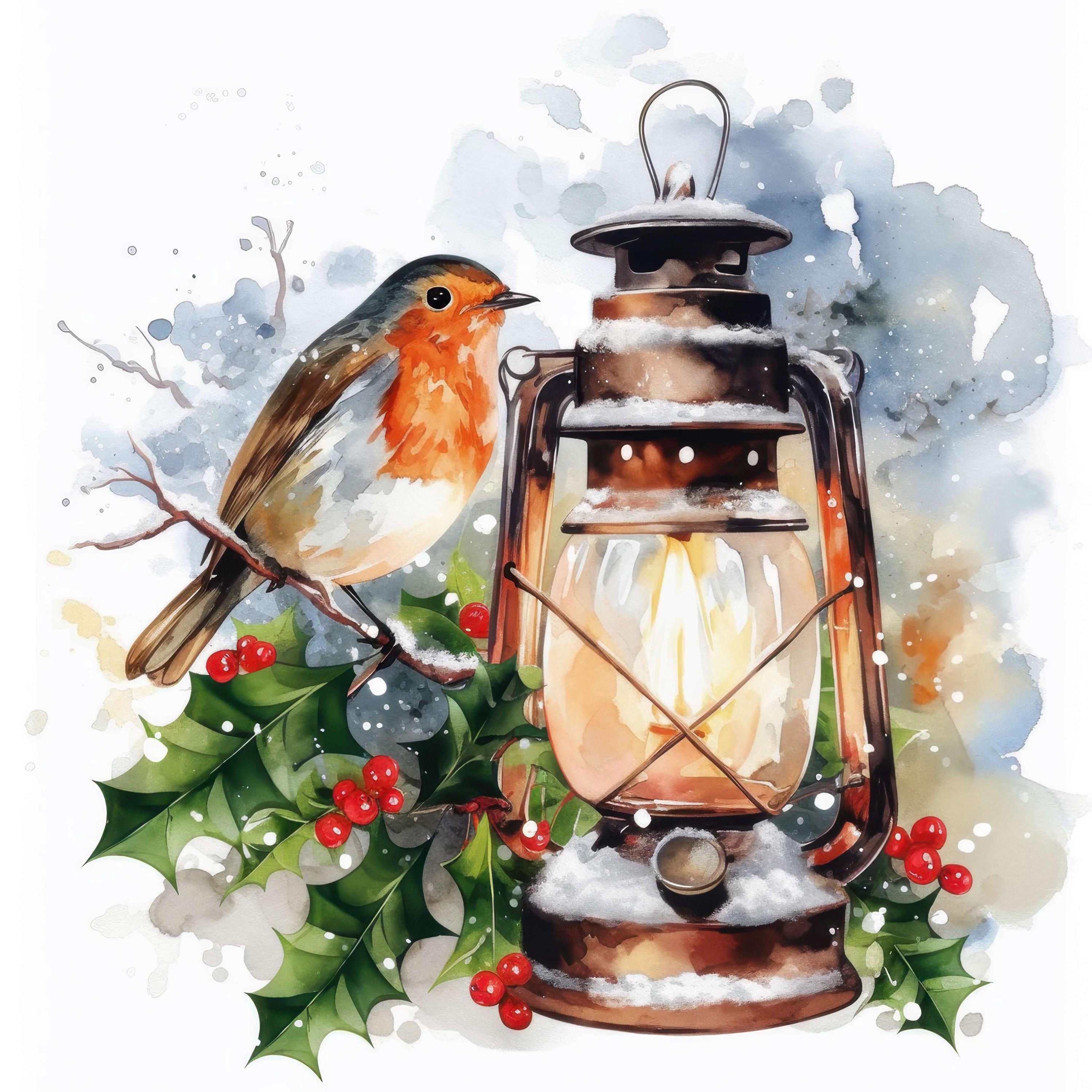 12 Festive Robin Bird Clipart Set, Christmas Illustrations, Printable ...