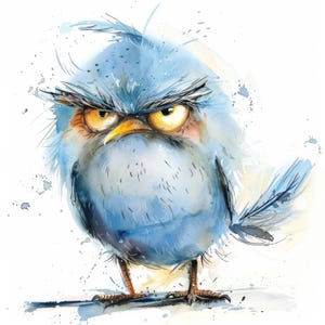 11 Grumpy Birds Clipart Bundle, Cute Fluffy Bird, Digital Clipart ...