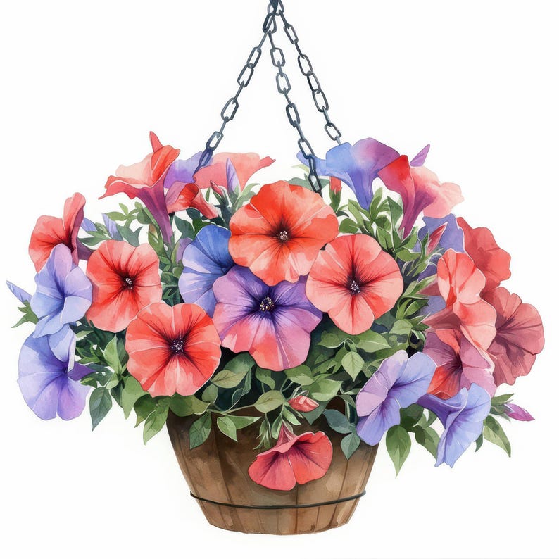 12 Delicate Petunia Flowers Clipart Bundle, Printable Watercolor Floral ...