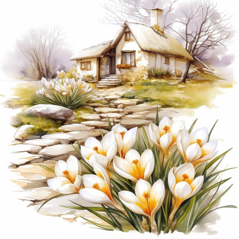 12 Floral Cottage Clipart Bundle, Printable Watercolor Images, Floral ...