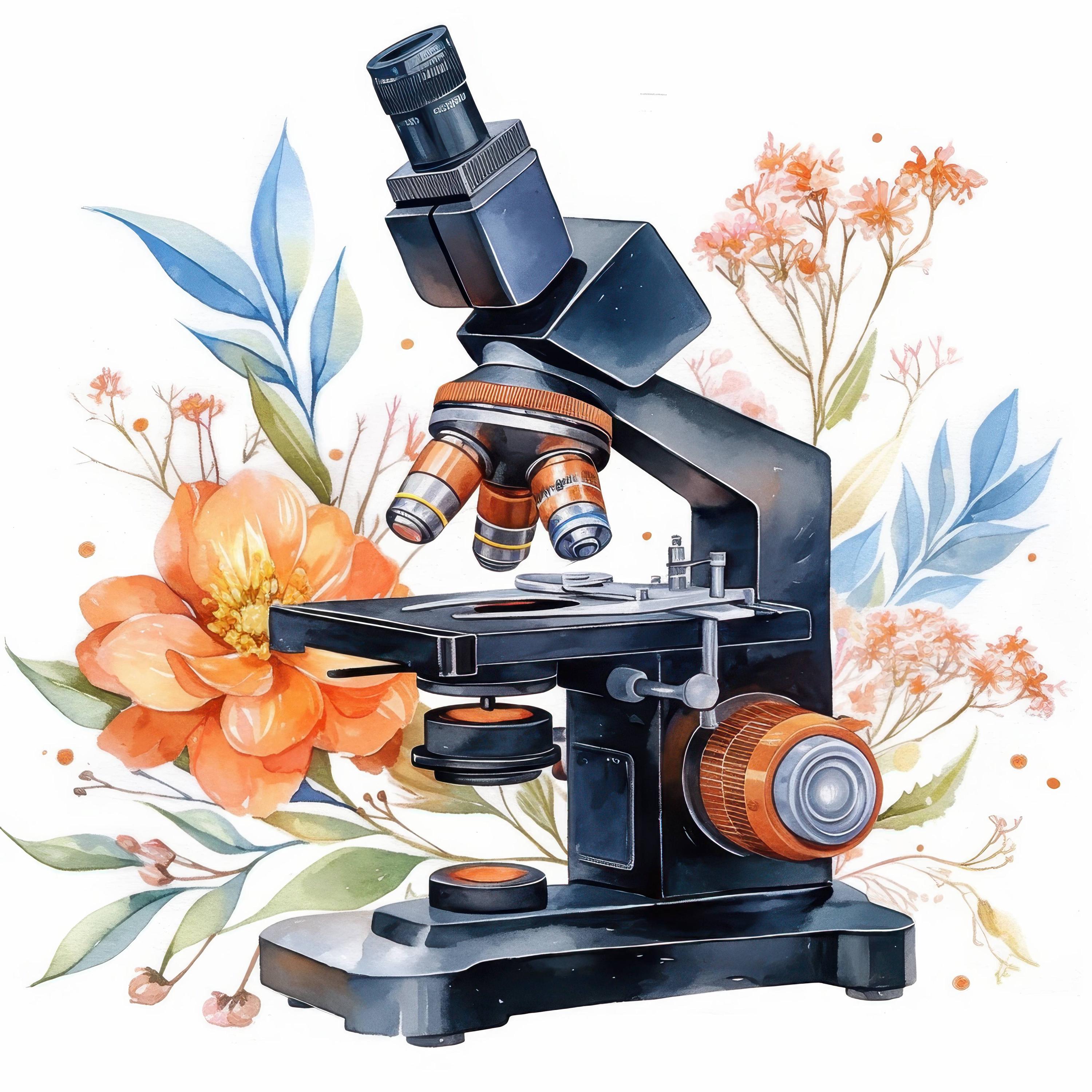 10 Microscope Clipart Set, Science Equipment Illustrations, Printable ...