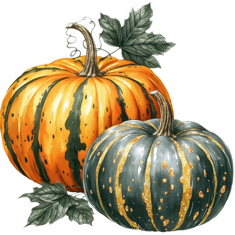 15 Autumn Gourds and Pumpkin Clipart Bundle, Fall Illustrations ...