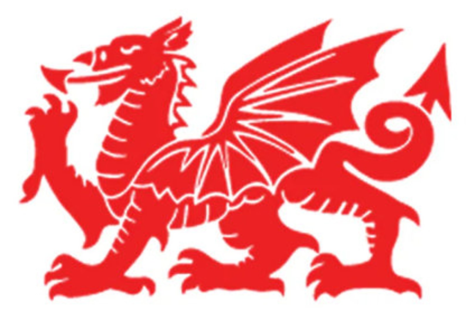 Welsh Dragon Graphic HTV Transfer - Etsy
