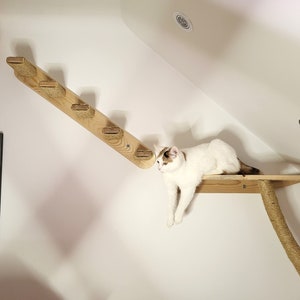 Wooden Wall-mounted Cat Ladder With Jute, Sisal Steps for Indoor ...