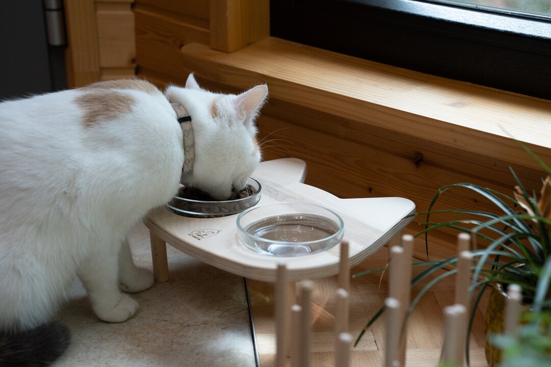 Elevated Cat Food Stand, Non-spill Wooden Raised Cat Feeder, Portable ...