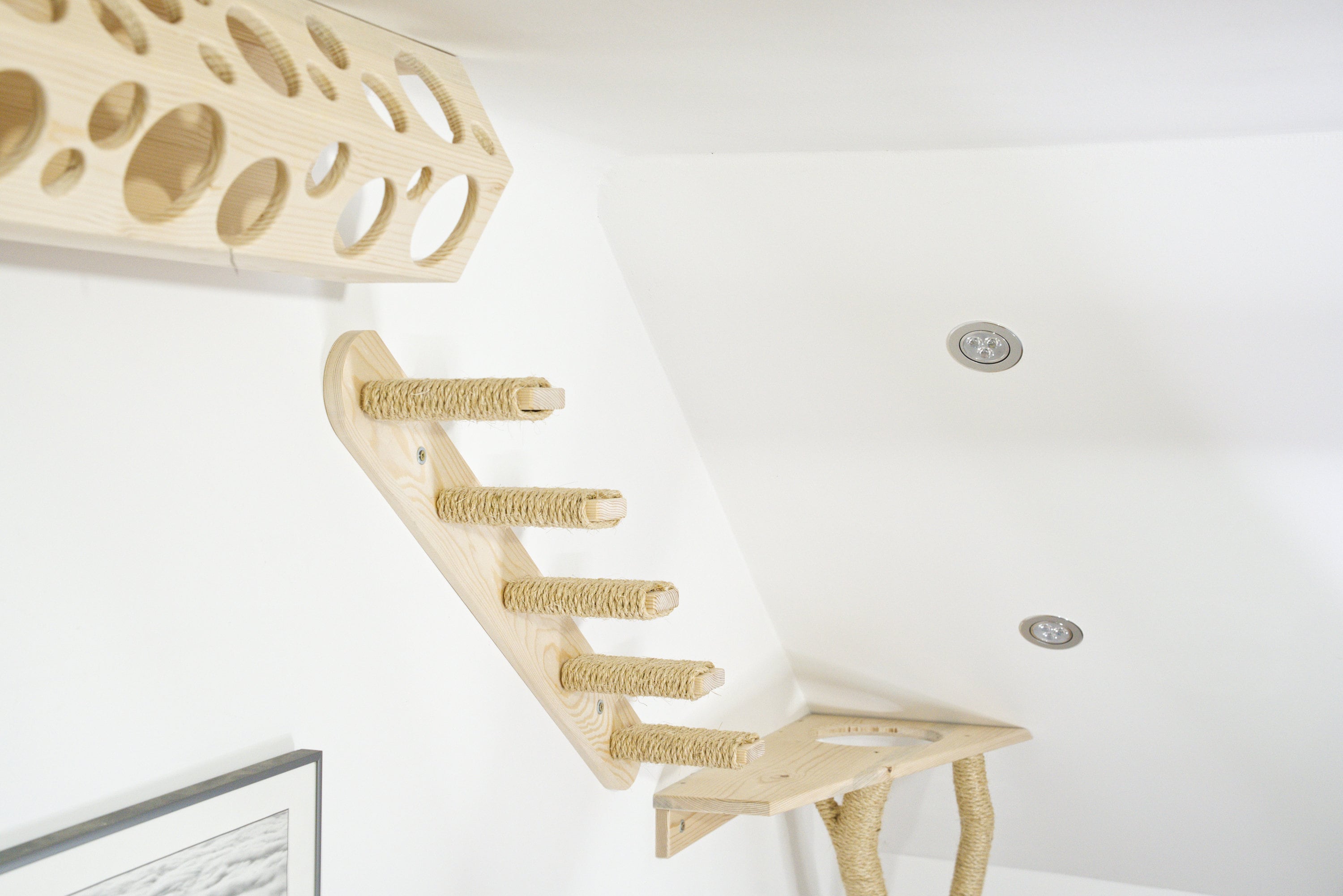 5 Steps Cat Stairs With Jute & Sisal Rope, Solid Spruce Wood Wall ...