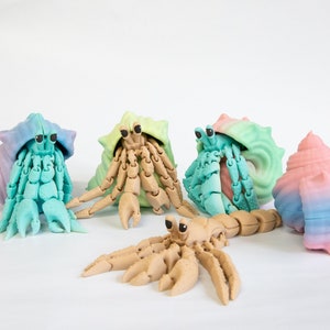 Articulating Hermit Crab | 3D Printed | Unique Gift | Flexi Crab ...