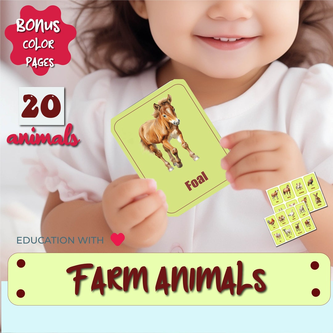 Animals Educational Flash Cards - Etsy