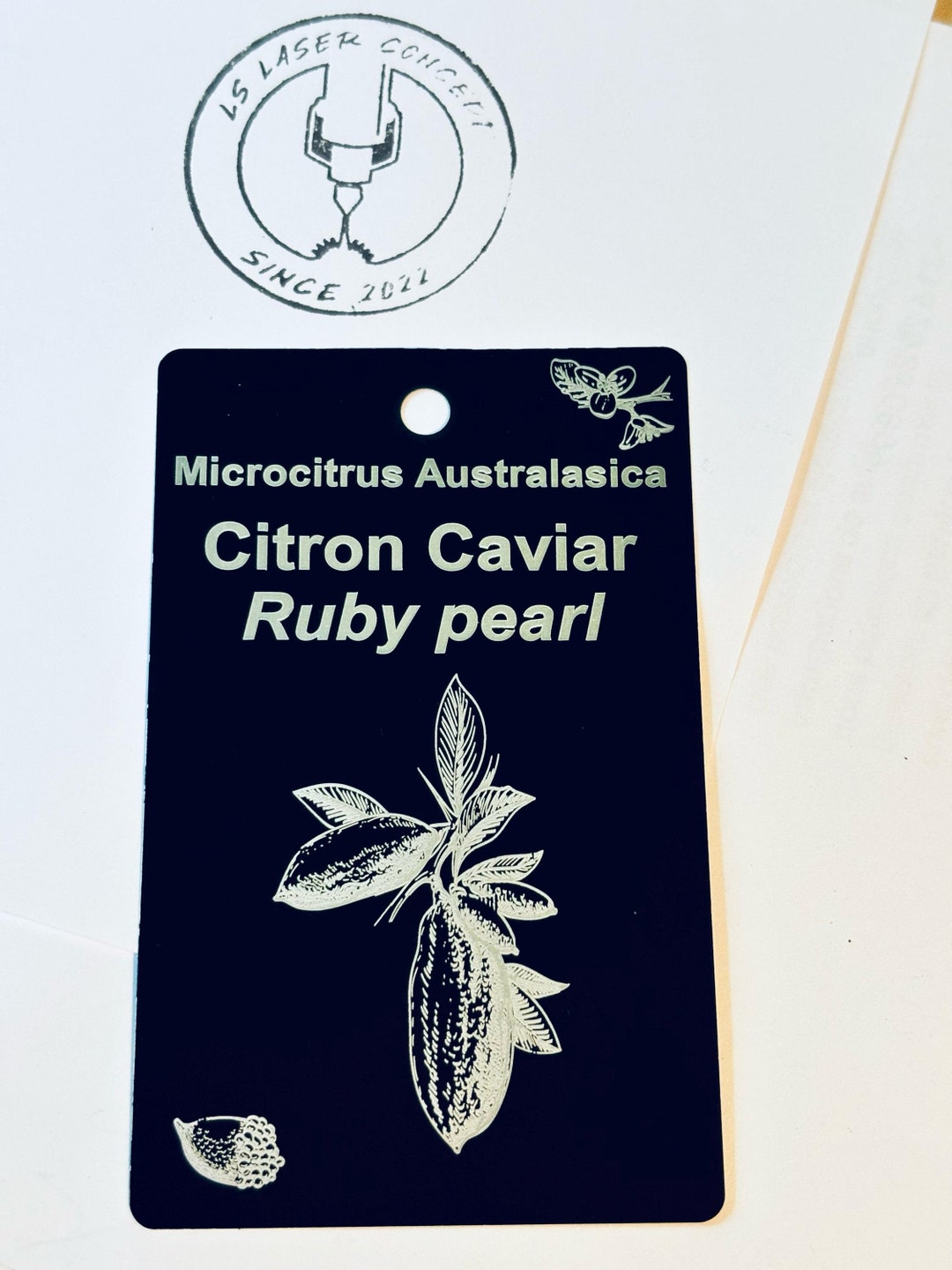 Customizable Garden Labels, Plant, Tree, Seed or Vegetable Markers, UV ...