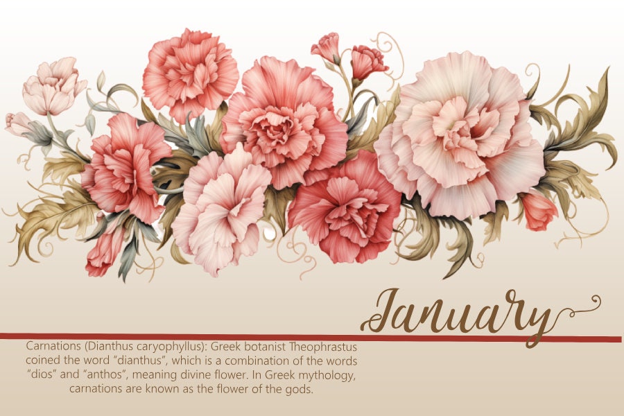 January Carnations Birth Flower Soy Candle, Scented Candle, January ...